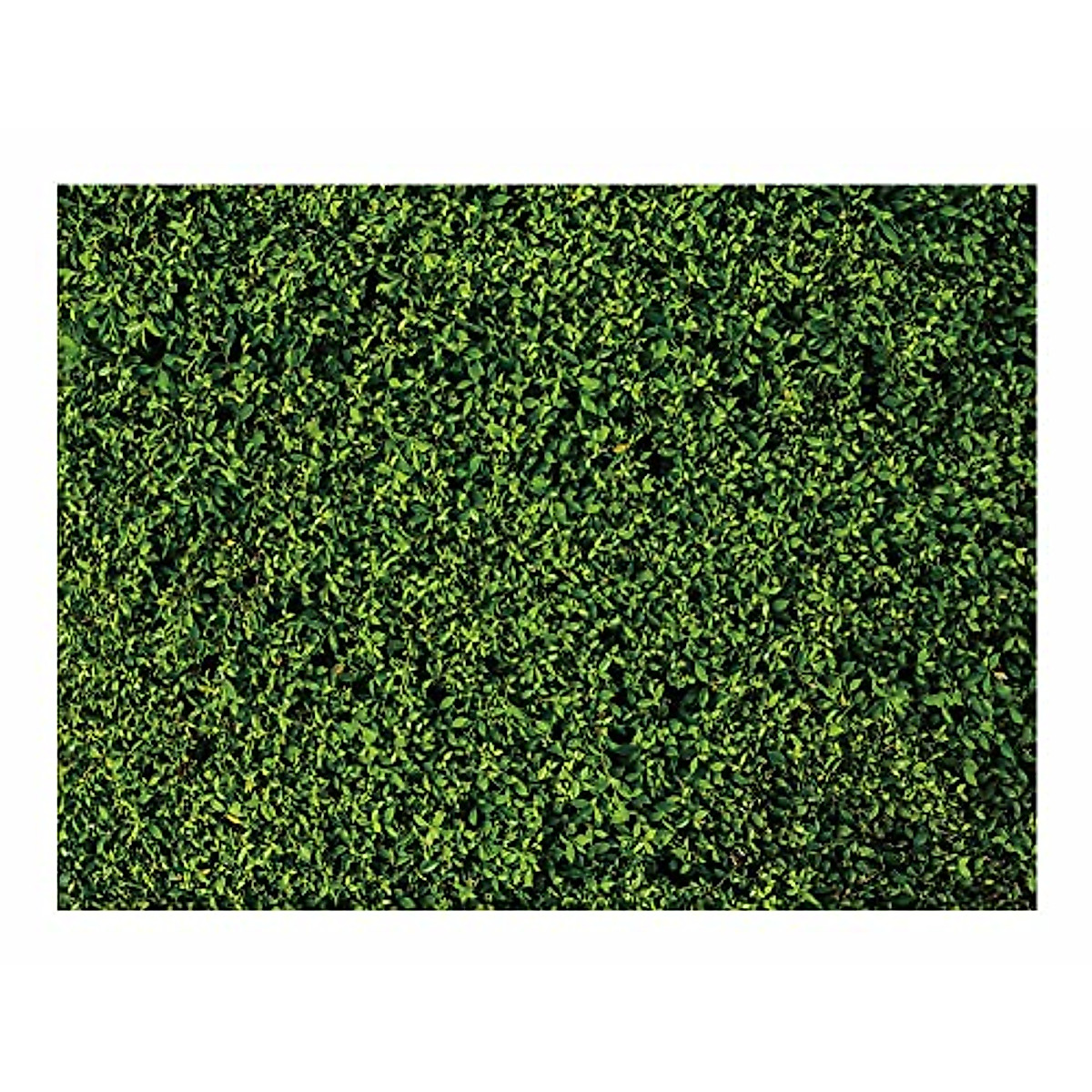 Funnytree 95" x 72" Nature Green Lawn Leaves Backdrop for Photography Background Greenery Grass Floordrop Pictures Party Ground Decor Outdoorsy Newborn Baby Shower Lover Wedding Photo Studio