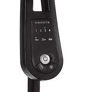 Lasko 20" Oscillating Remote Control Pedestal Fan