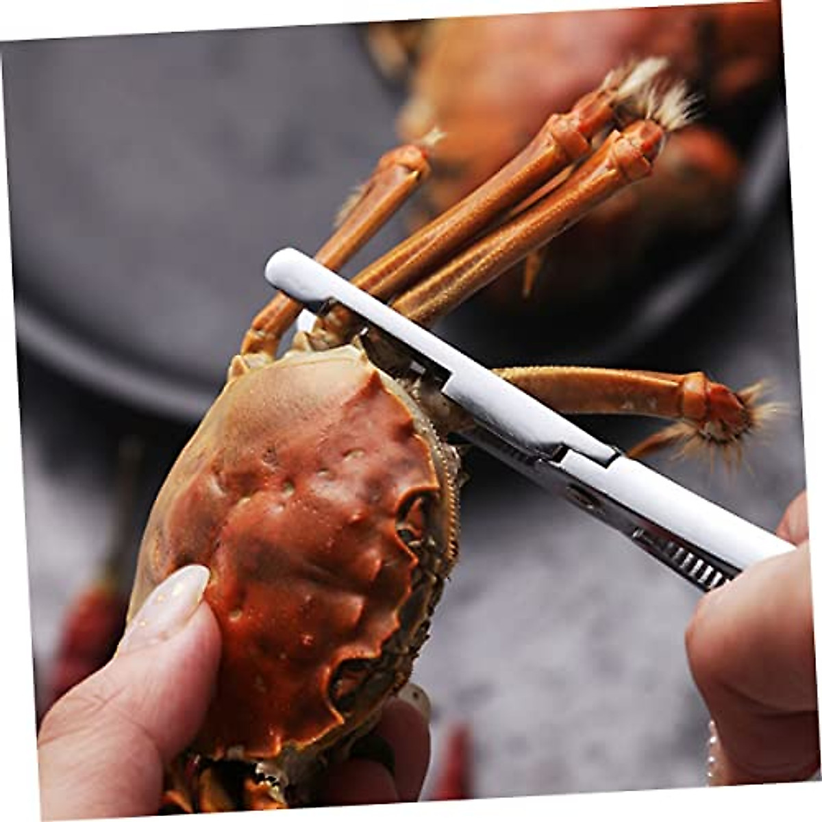 Cabilock 1 Set Crab Eating Tool Household Tools Metal Forks Stainless Steel Set Seafood Crab Utensils Seafood Sheller Seafood Eating Tools Crab Picks Crab Leg Crackers Gadgets Shelled