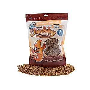 Chubby Mealworms Bulk Dried Mealworms for Wild Birds, Chickens etc. (2Lbs)