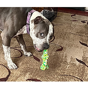 PawSailor Indestructible Chew Toys for Aggressive Chewers Medium Large Dogs Food Grade Bamboo Fiber Degradable Tough Teething Chew Toys Pet Toy Gift Green L