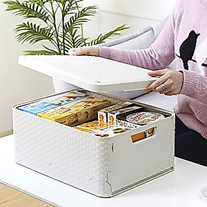 Folding and Stackable Storage Bin with Lid | Organizer Storage Box, 30 Liter, Set of 3, Beige