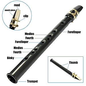 Pocket Saxophone Kit Mini Sax Portable Woodwind Instrument with Lid, Mouthpiece, Carrying Bag, Fingering Charts