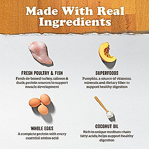 Now Fresh Dry Dog Food, Turkey, Salmon and Duck Recipe, 22 lbs - Grain Free Dog Food, Made with Real Meat and Fish for Small, Medium, and Large Breed Adults