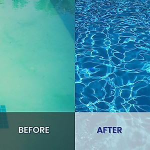 Ahh-Some- Swimming Pool Clarifier Gel | Clears Cloudy & Hazy Water Helps Remove Pipe Build Up of Bio-Contaminants in Plumbing | Environmentally Friendly 6oz.