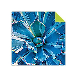 Origami Paper 500 sheets Succulents 6" (15 cm): Tuttle Origami Paper: Double-Sided Origami Sheets with 12 Different Photographs (Instructions for 6 Projects Included)