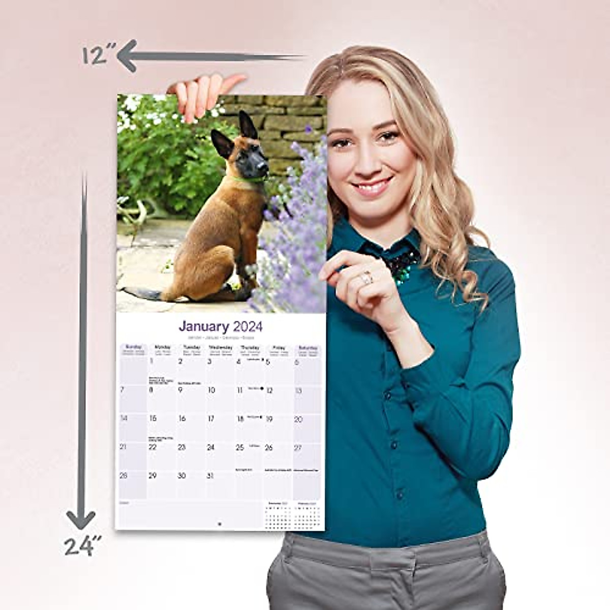 Belgian Shepherd Calendar - Dog Breed Calendars - 2023 - 2024 wall calendars - 16 Month by Avonside