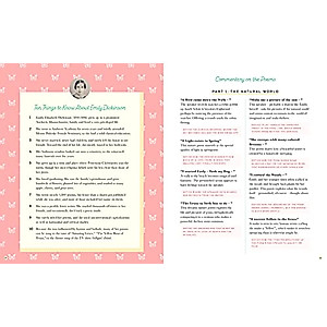 The Illustrated Emily Dickinson: 25 Essential Poems (The Illustrated Poets Collection, 1)