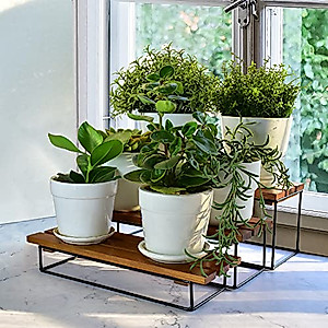 Walnut Wood - Wooden Cupcake Stand 3-Tier Wooden Display Stand with Black Metal Base, Rectangle Tower Display Stands for Vendor Events Walnut Wood (12" Set)