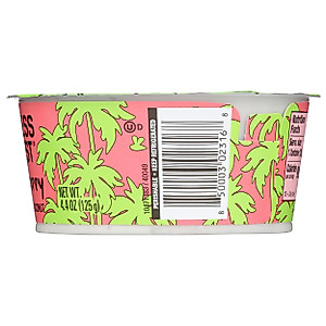 Harmless Harvest Dairy-Free Cup Yogurt - Strawberry, 4oz