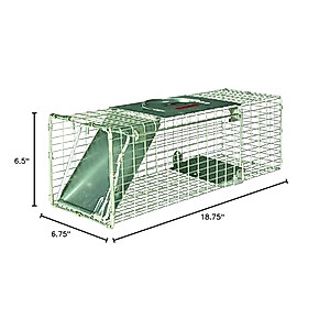 Little Giant® Single Door Live Trap | Racoon Trap | Live Animal Trap | Catches Without Injury | Galvanized Steel Mesh | 18.75 x 6.75 x 6.5 in