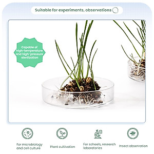 Huanyu 75mm Glass Petri Dish with Lids High Borosilicate Glass Petri Dishes Bacterial Culture Dishes for Lab Science Experiment (5pcs: 75mm)