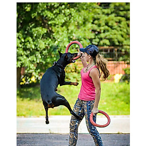 Soft Durable Rubber Tug Ring Dental Chewing Biting Chasing Training Toy for Dogs DT103 Orange 7 inch