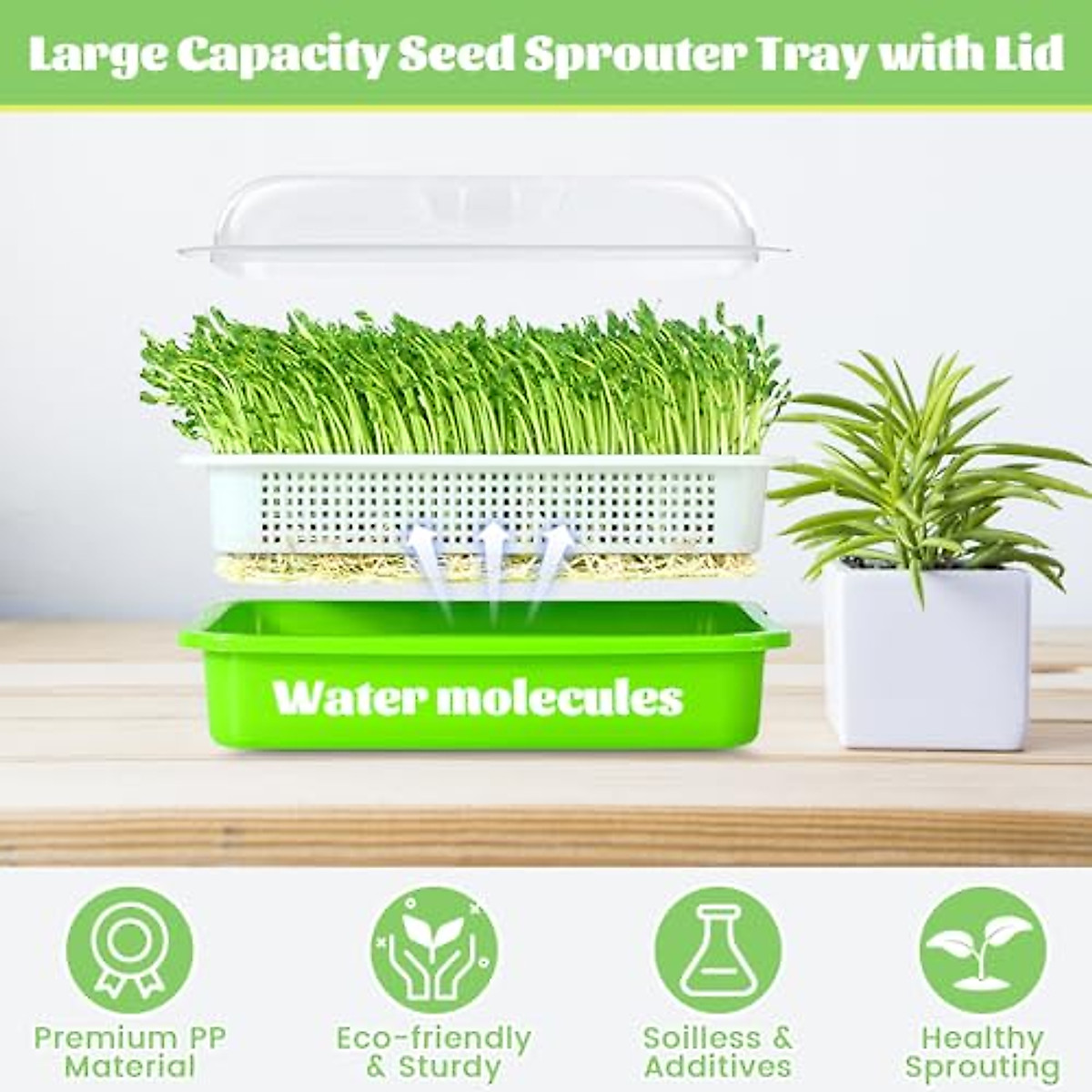 Legigo 5 Pack Seed Sprouter Trays with Lids- Soil-Free Cultivation Germination Tray, BPA Free Micro Greens Growing Trays Seed Sprouting Trays Kit with Germinating Paper for Wheatgrass, Beans and More