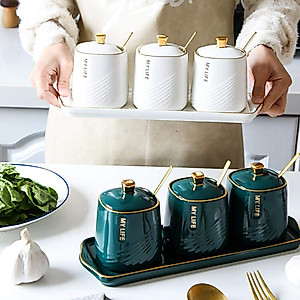 3pcs per Set Ceramic Condiment Pots with Tray, Seasoning Box Condiment Pots, Ceramic Sugar Bowl with Lids and Spoons, Container Spice Jar Salt Cellar for Kitchen (White)