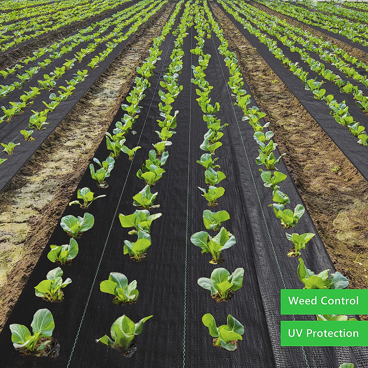 EXTRAEASY 4ft x 300ft Weed Barrier Landscape Fabric Heavy Duty,Premium 3.2oz Ground Cover Weed Block Gardening Mat,Easy Setup & Superior Weed Control (4ftx300ft)