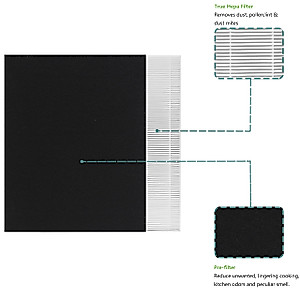 D480 True HEPA Replacement Filter D4, Compatible with D480 Air Purifier, Compare to D4 Filter, 2 H13 Grade True HEPA and 8 Activated Carbon Filters, Item Number 1712-0100-00