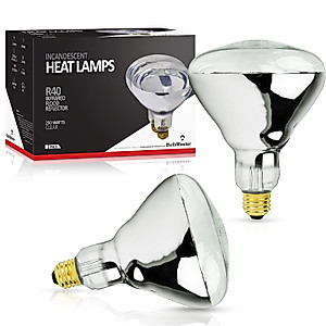 BULBMASTER 250 Watt Heat lamp Bulb for Bathroom R40 Incandescent Shower Heat Lamp Clear Infrared Bath Light 250R40 Chicken Light Bulb E26 Base 2 Pack