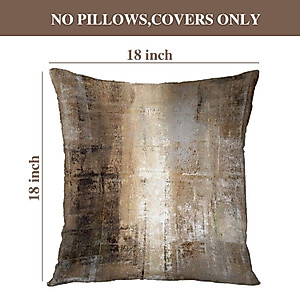 ONELZ Brown Throw Pillows and Grey Throw Pillows Decorative Pillow Covers for Couch Two Sides Printed, Fashion Style Zippered Cushion 18 X 18 Pillow Cover Set of 2,Brown and Grey