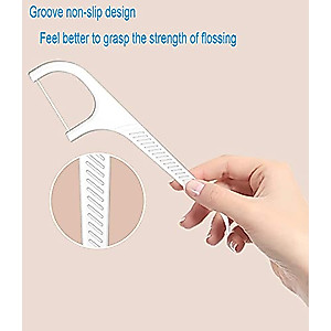 Travel Dental Floss Picks,Refill Bagged Floss Sticks,Holy Rose High Toughness Adults Flosser Toothpick,300 Count Professional Clean Flossers for Teeth Hygiene, Oral Care and Health.