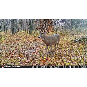 STEALTH CAM Fusion X-Pro Dual Sim 36 MP Photo & 720P HD Video 0.4 Sec Trigger Speed Wireless Hunting Trail Camera - Available on AT&T & Verizon