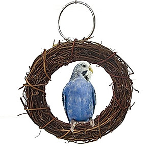Natural Rattan Hoop Chew Toy for Parakeet Budgie Cockatiel Conure Macaw Lovebird Hanging Cage (L)