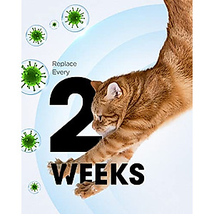 Ciays Cat Water Fountain Replacement Filters & Replacement Pre-Filter Sponges for 65oz/1.8L Automatic Pet Fountain Cat & Dog Water Dispenser, White (CIPS65OZ)