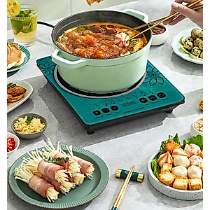 TYEMUI 2200W Induction Hot Plate,Portable Electric Cooktop Single Burner High Power Electrical Hot Plates for Cooking in Dorm, Apartments, Home 110V-120V