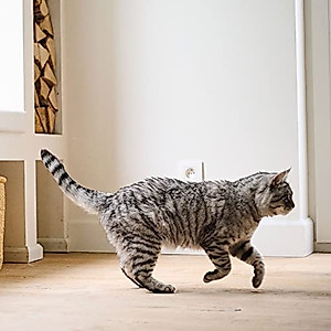 Beaphar Top 10 Cat Vitamin 180 Tablets