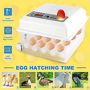 YaeCCC Egg Incubator, Automatic Egg Hatching Incubator Temperature Control for Hatching Chicken Duck Quail Bird Eggs (16 Eggs)