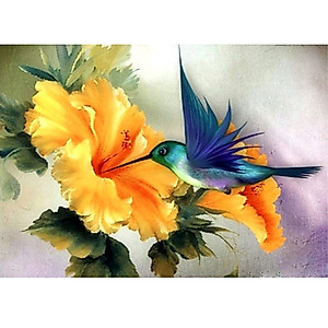MXJSUA Hummingbird Diamond Art Painting Kits, Bluebird Diamond Art Painting Kits Full Round Drill Flowers Diamond Art Painting by Number Kits for Adults Diamond Art Hummingbirds 12X16 Inch/30x40 cm