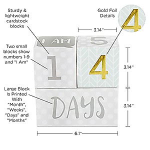 GiftsForYouNow My First Milestone Baby Age Blocks
