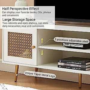 JYED DECOR Antique White Mid Century TV Stand with Metal Mesh Doors and Open Shelving, Media Console for TV up to 65 Inches, Entertainment Center for Living Room, Bedroom