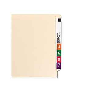 Smead End Tab File Folder, Shelf-Master Reinforced Straight-Cut Tab, Letter Size, Manila, 100 per Box (24109)