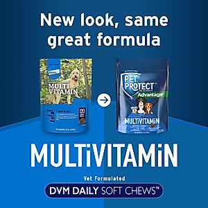 Pet Protect from The Makers of Advantage Vet-Formulated Daily Multivitamin for Dogs | 60 Chews with Vitamins