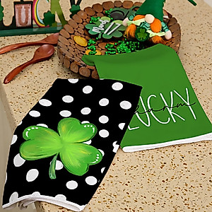 ARKENY St Patricks Day White Polka Dot Kitchen Towels Dish Towels St. Patrick's Day Decorations for Home Décor Ultra Absorbent Bar Drying Cloth 18x26 Inch Hand Towel for Cooking Set of 2
