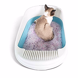 ZenKitty Crystal Cat Litter Fresh Scent