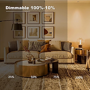 Nioclerce GU4 MR11 5W 12V - 6 Pack MR11 Halogen Bulb with GU4 Base, Dimmable MR11 Bulb 2800k Warm White, Long Lasting MR11 12V 5W Bulb for Accent, Track Lights, Precision Halogen Fiber Optic Bulb