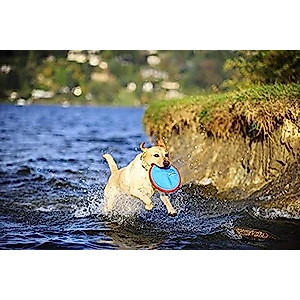 ChuckIt! Paraflight Flyer Dog Frisbee Toy Floats On Water; Gentle On Dog's Teeth And Gums; Large