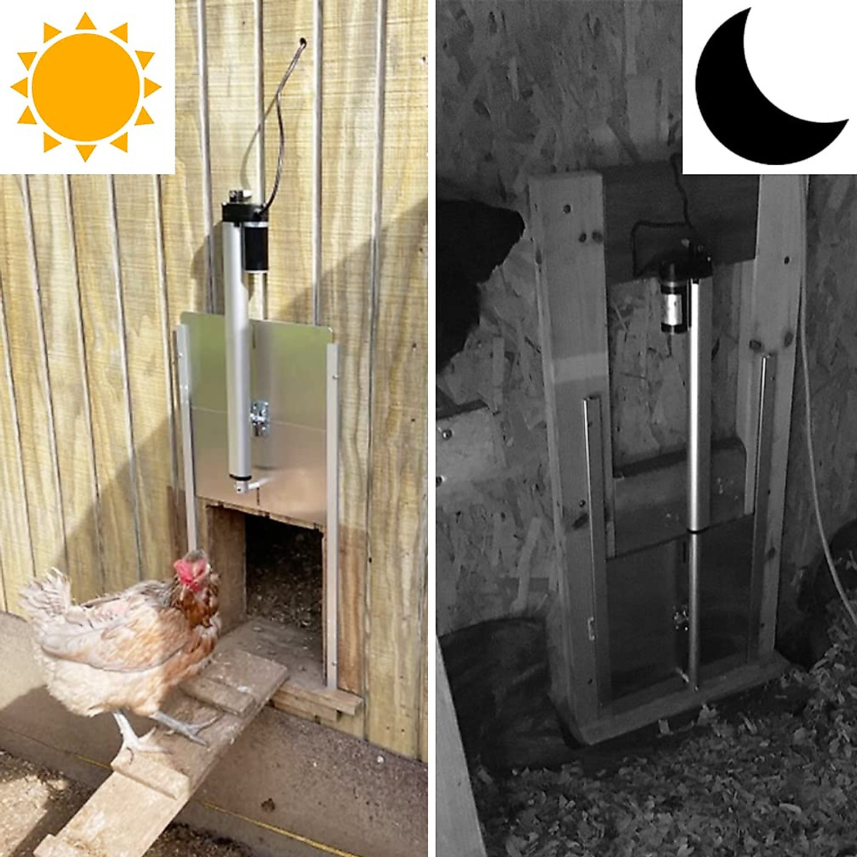 JVR Chicken Coop Door Automatic Smart 2.4 GHz WIFI Opener with Safety Mechanism, Work With Alexa & Google Assistant, Rainproof Sunrise/Sunset Timer Controller Actuator Motor APP/Remote (Smart Version)