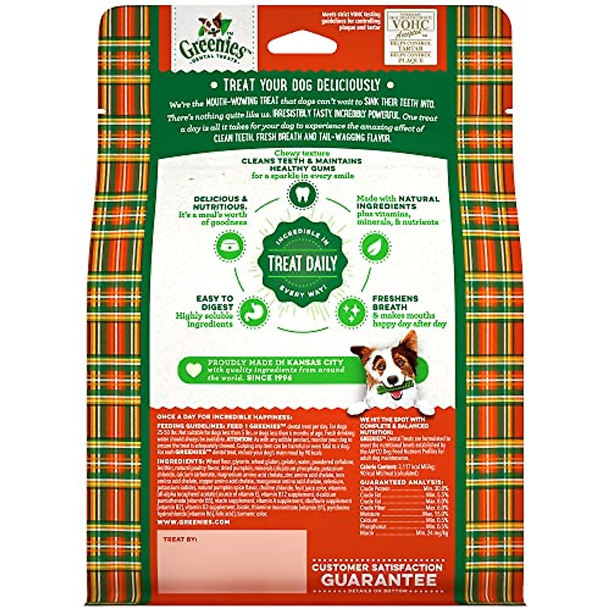 GREENIES Regular Natural Dog Dental Care Chews Oral Health Dog Treats, Pumpkin Spice Flavor, 12 oz. (12 Treats)
