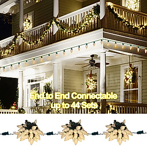 C9 Christmas Lights, 50 LEDs 24.5 FT Faceted String Lights Connectable Commercial Grade Indoor Outdoor, 120V UL Certified Xmas Strawberry Tree Light Strand for Garden Patio Parties, Warm White