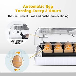 Apdoe Egg Incubator Clear View, Automatic Egg Turner, Temperature Humidity Control, Egg Candler, Poultry Egg Incubator for Hatching 12-15 Chicken Eggs, 35 Quail Eggs, 9 Duck Eggs, Turkey Goose Birds