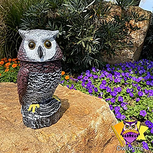 Owlsome Solar Red Owl with Flashing Eyes, Rotating Head, Hooting, Motion Detector and Silent Mode, Plastic Owl Garden Sculpture, Garden Decoration