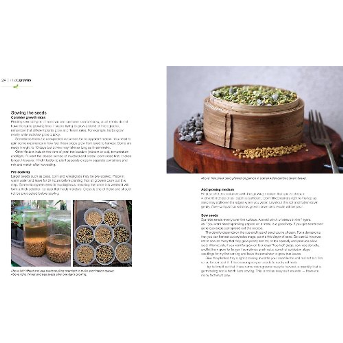 Microgreens: How to Grow Nature's Own Superfood