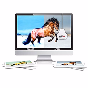 Datacolor SXSSR100 Spyder X Studio: Suite of Photo Tools for Precision Control from Capture to Editing and Print