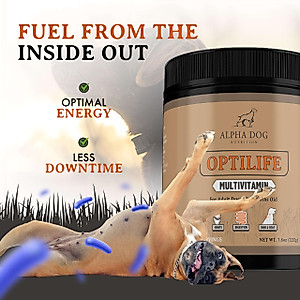 OptiLife Multivitamin for Adult Dogs - Contains Probiotics, Allergy Support, Joint Support, Muscle Recovery, and Skin & Coat Support - Powder Supplement (30 Servings)