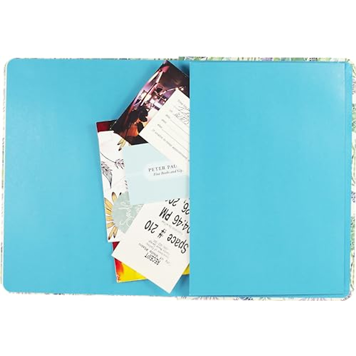 Sea Turtles Journal (Diary, Notebook)