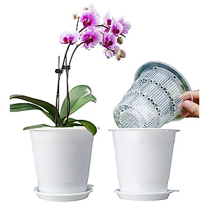 Meshpot 4 inch Clear Orchid Pots with Holes Match White Plastic Orchid Planter,Set of 2,Double Layer Plant Nursery Pots Own Scientific Controlling Roots Technology