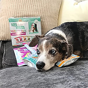 Weruva Dogs In The Kitchen, Variety Pack, Pooch Pouch Party!, Wet Dog Food, 2.8Oz Pouches (Pack Of 12)